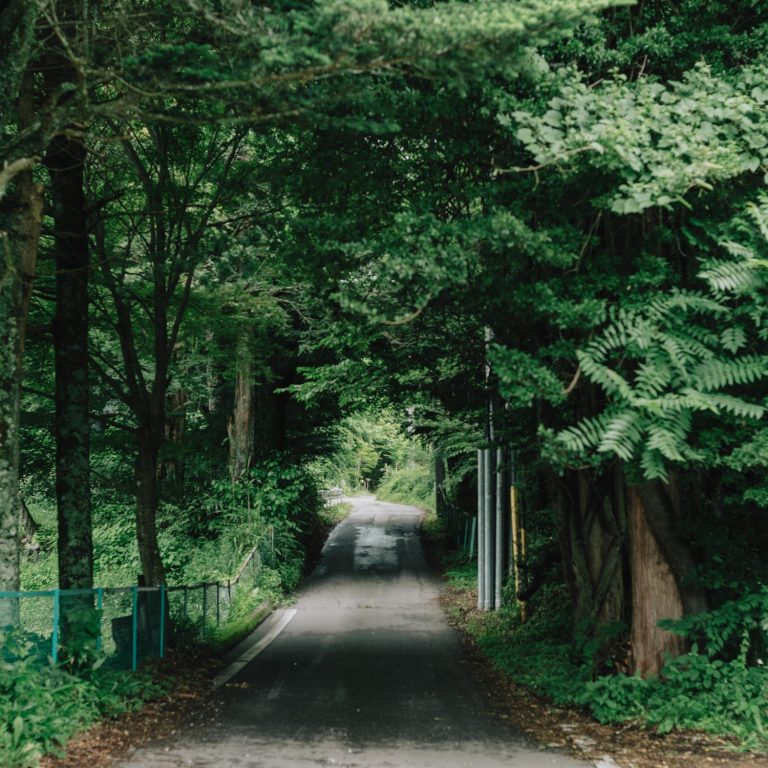 still – haluta｜ハルタ